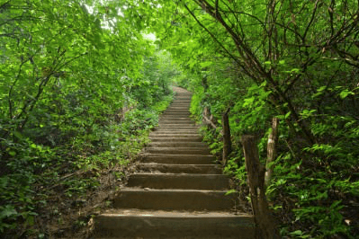 "Jung 101" and "Pathways to the Unconscious: A Jungian Perspective ...