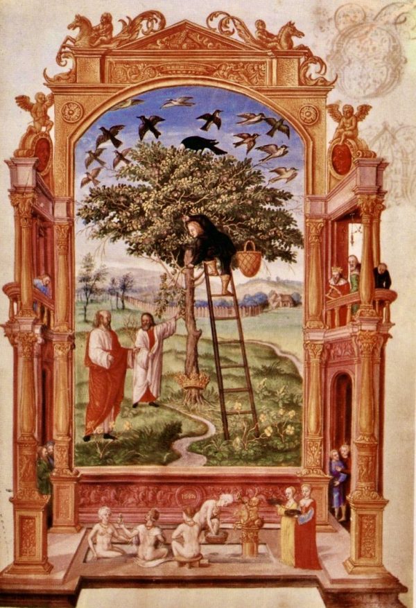 Gaia and the Tree of Life - JungianDirectory